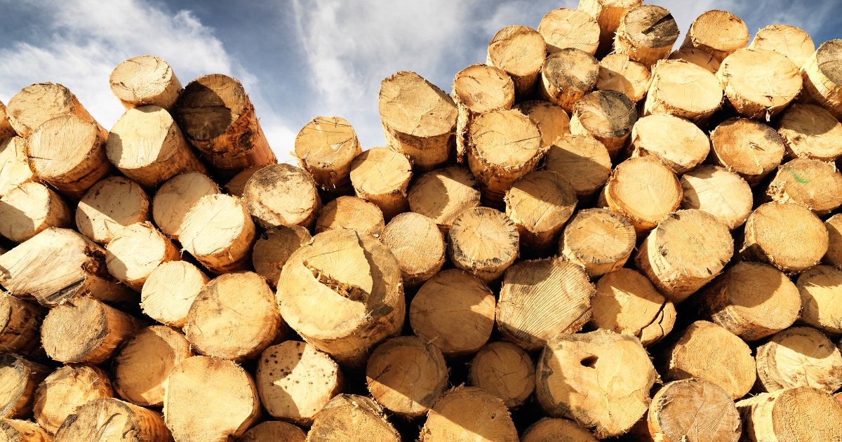 Schweizer Rundholz | Werk- und Baustoff Holz