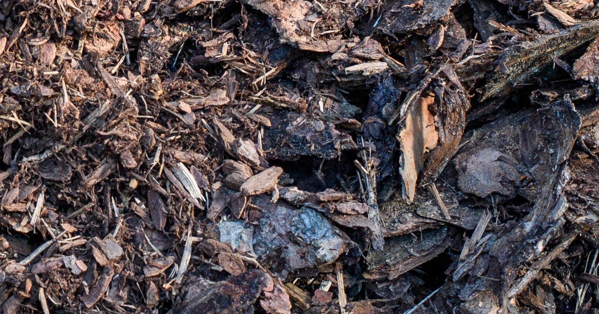 Bark and bark mulch | Residual timber