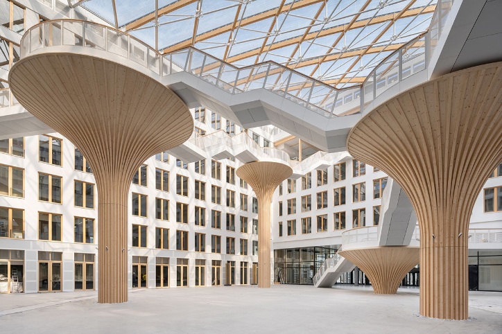 EDGE office building made of Free Form timber construction