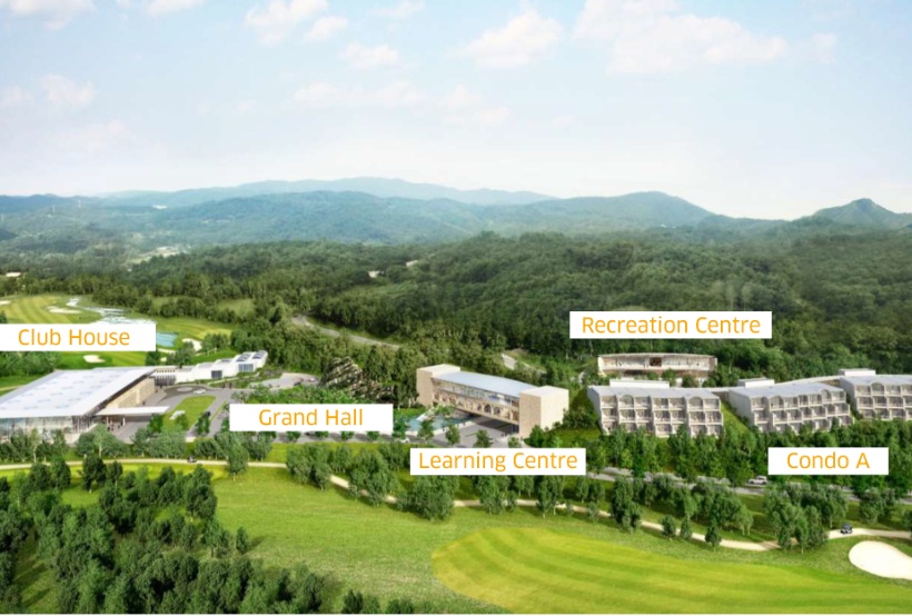 Haesley Nine Bridges Free Form Timber Construction