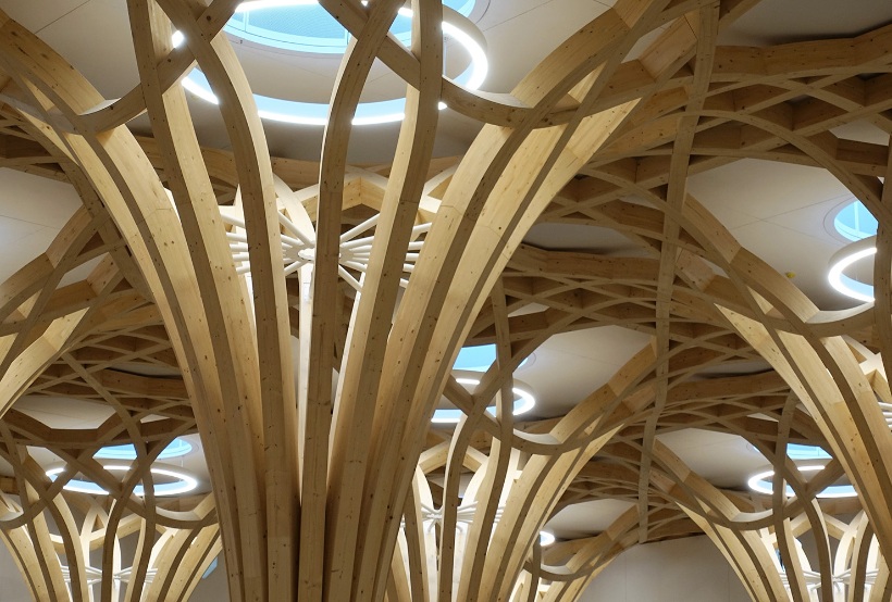 Cambridge Mosque| A timber structure for the senses