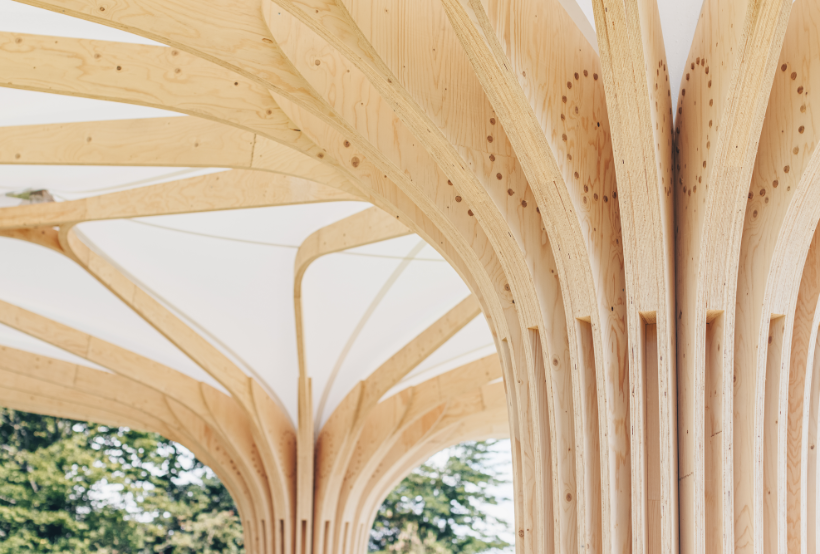 3Days of Design | Timber tree-like pavilion | Blumer Lehmann