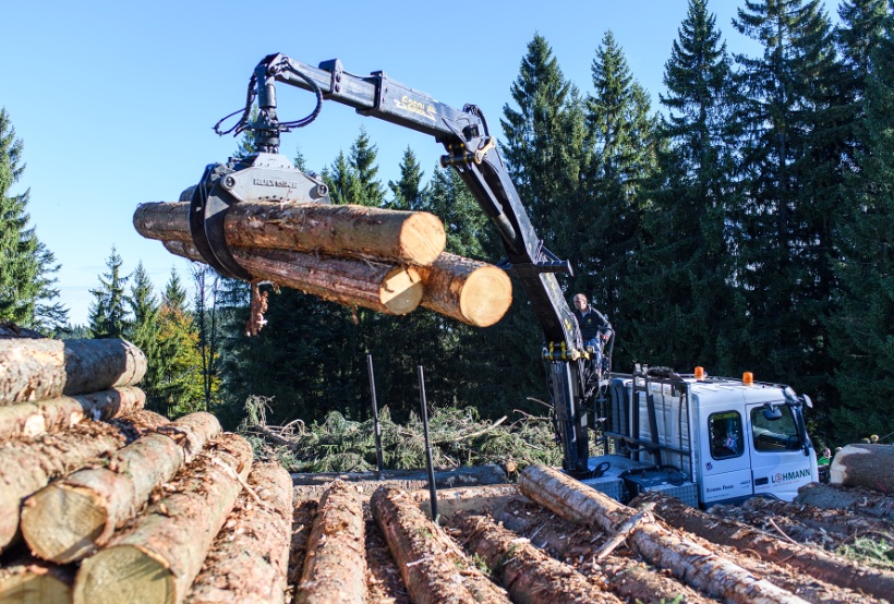 From the forest to our sawmill | Blumer Lehmann