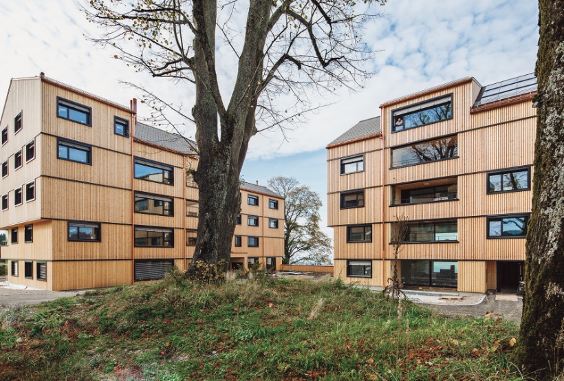 Raw material wood | Blumer Lehmann