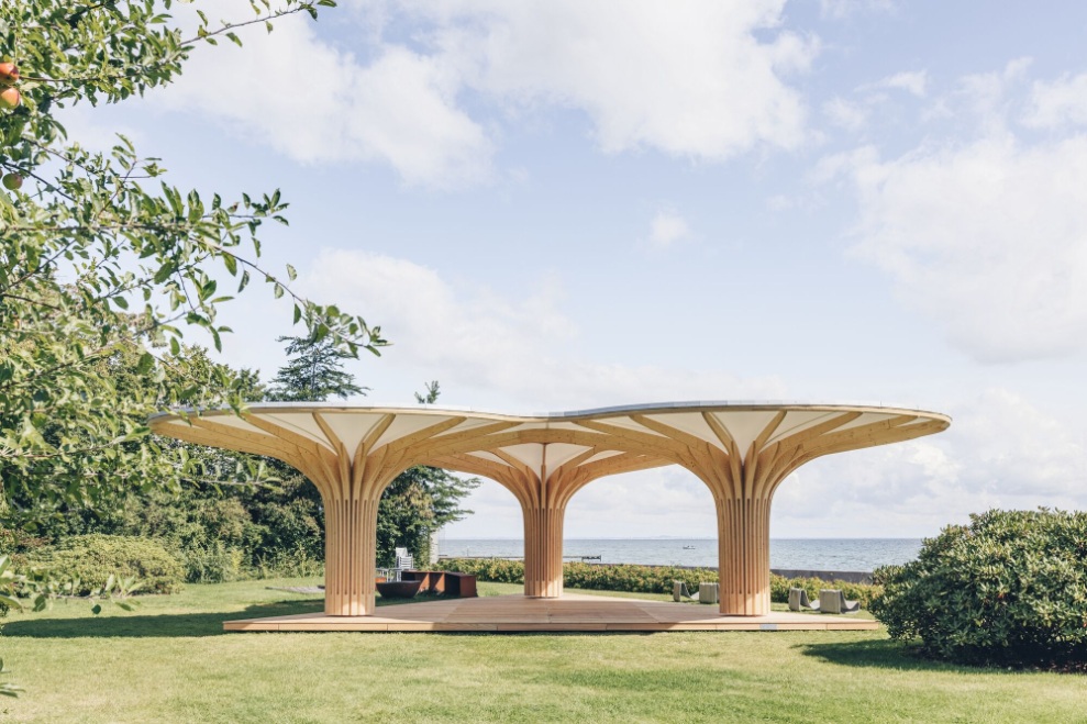 3Days of Design | Timber tree-like pavilion | Blumer Lehmann