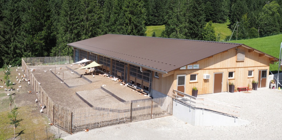 Timber construction for organic laying hen house